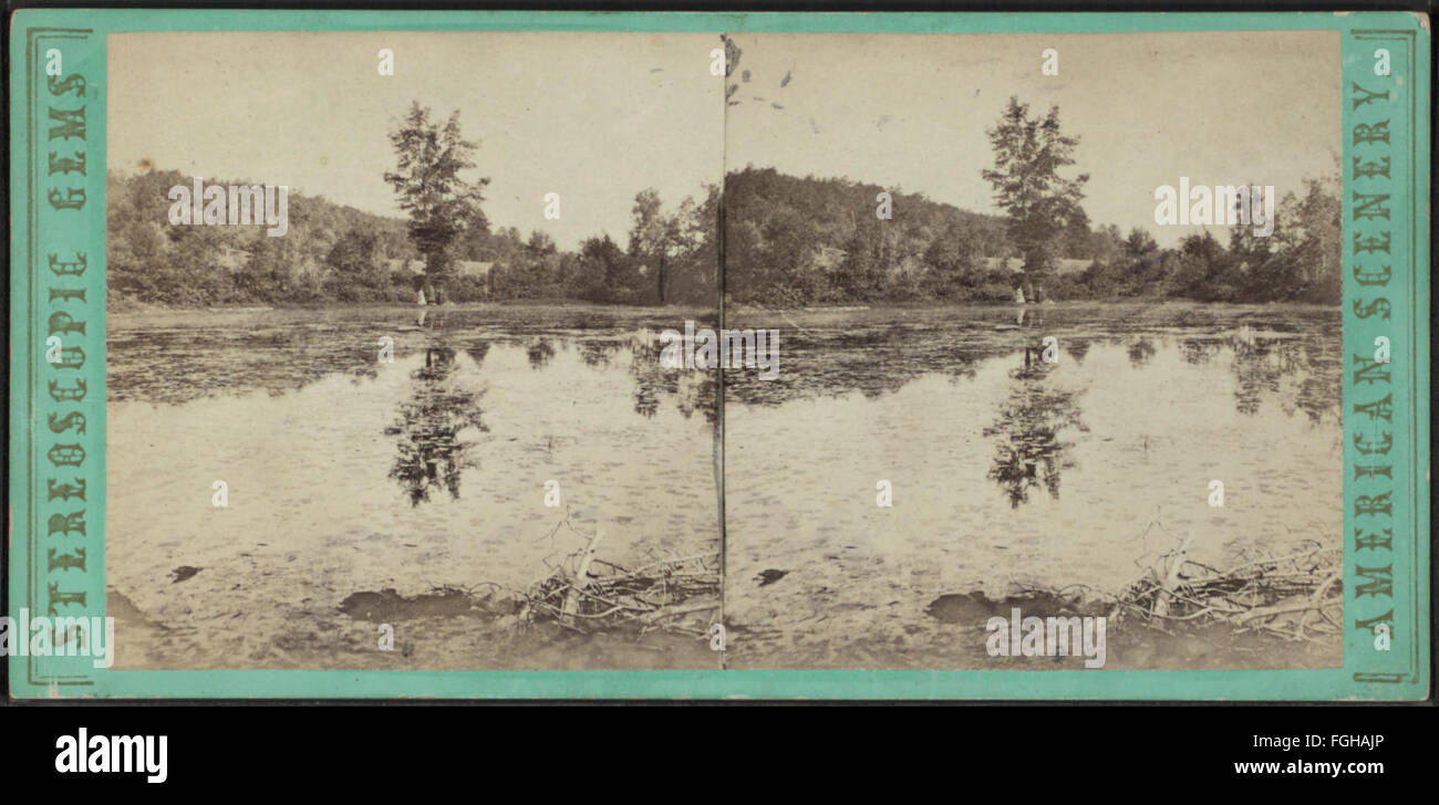 A stereoscopic view of Bloody Pond at Lake George, New York, part of ...