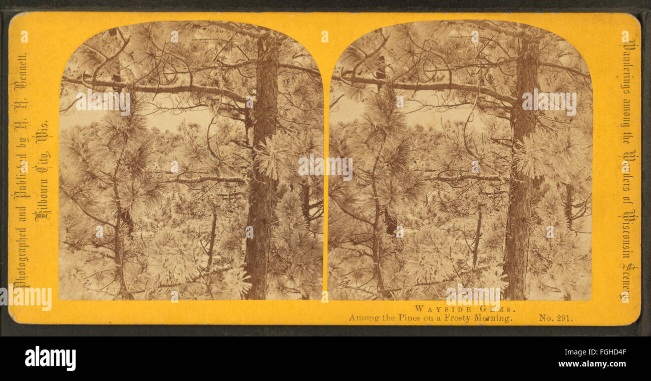 A photograph by Henry Hamilton Bennett showing a scene titled 'Wayside ...