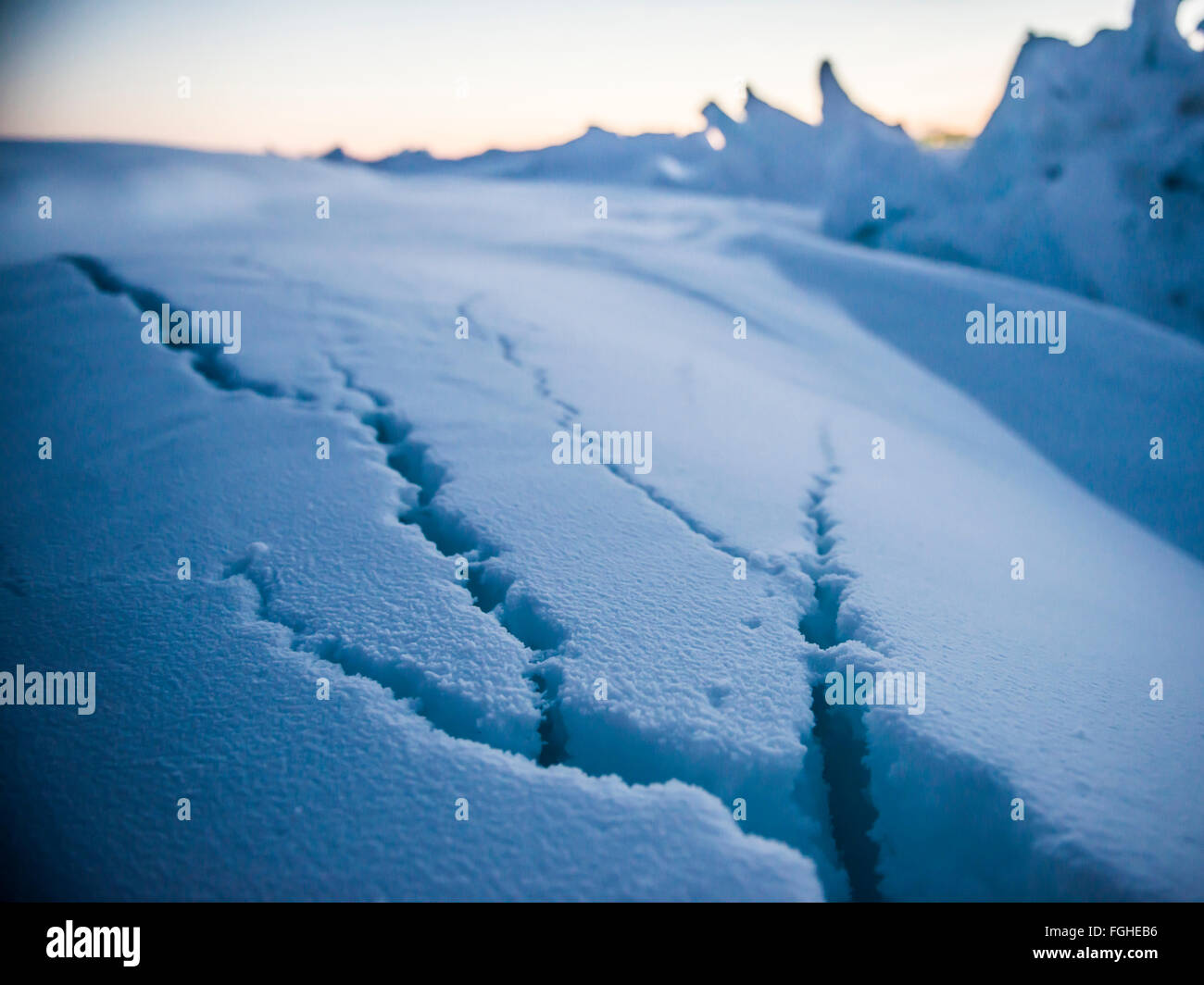 A crack in the surface of the sea ice in McMurdo Sound, Antarctica ...