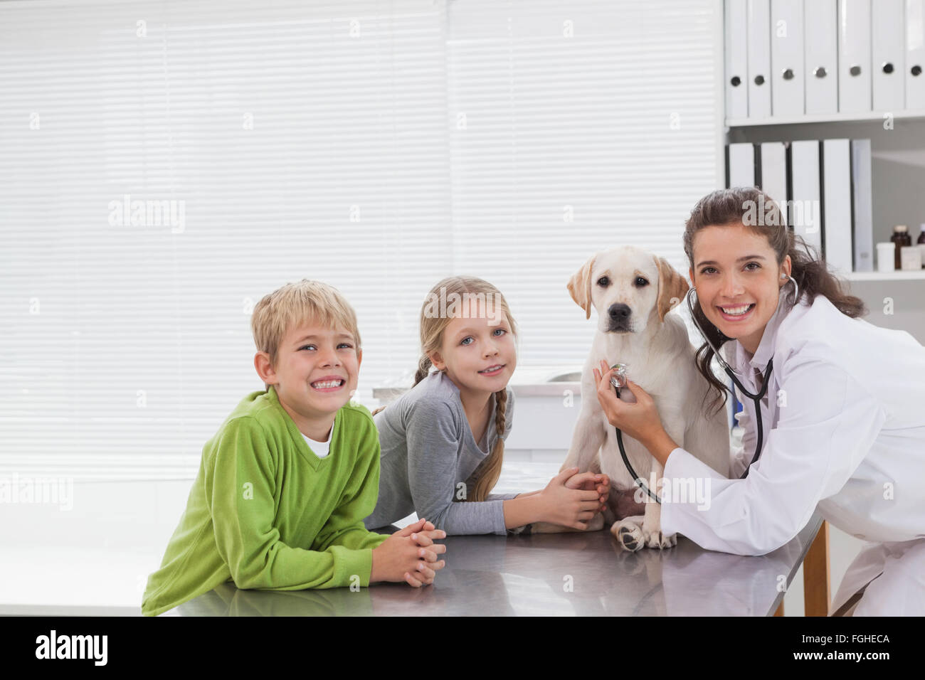 Smiling vet examining a dog with its owners Stock Photo - Alamy