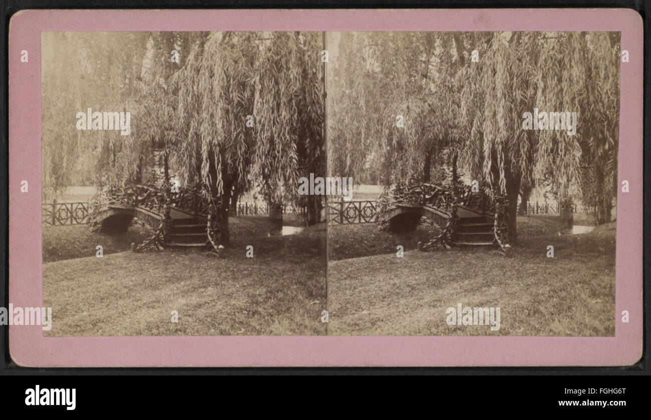 This photograph shows Carey's Place in Mt. Clair, New Jersey, depicting ...