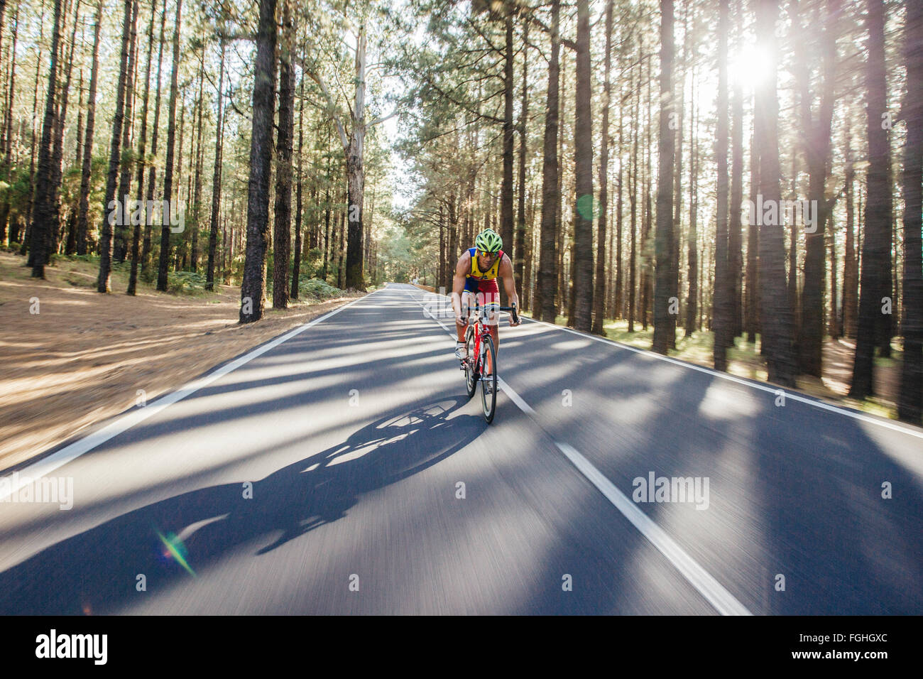 A cyclist rides his bike on a road through a deep pine tree forest ...