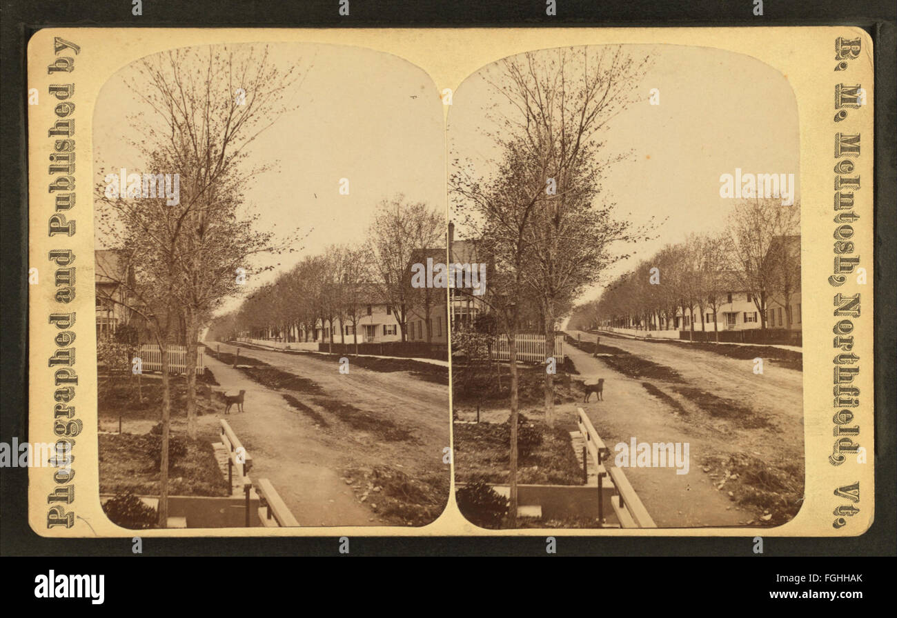 This photograph by R. M. McIntosh shows Central Street in Northfield ...