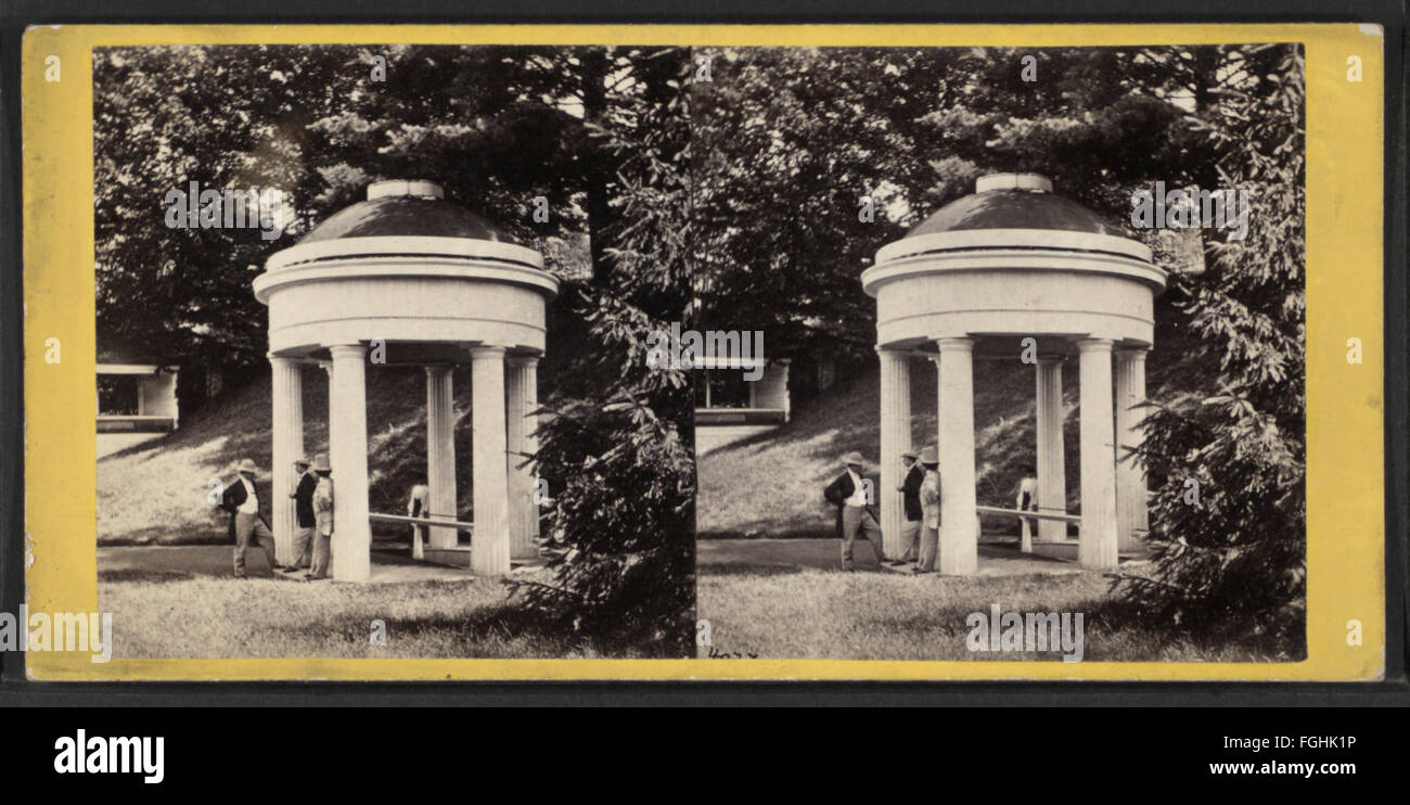 This photograph by E. & H.T. Anthony shows Columbian Spring ...