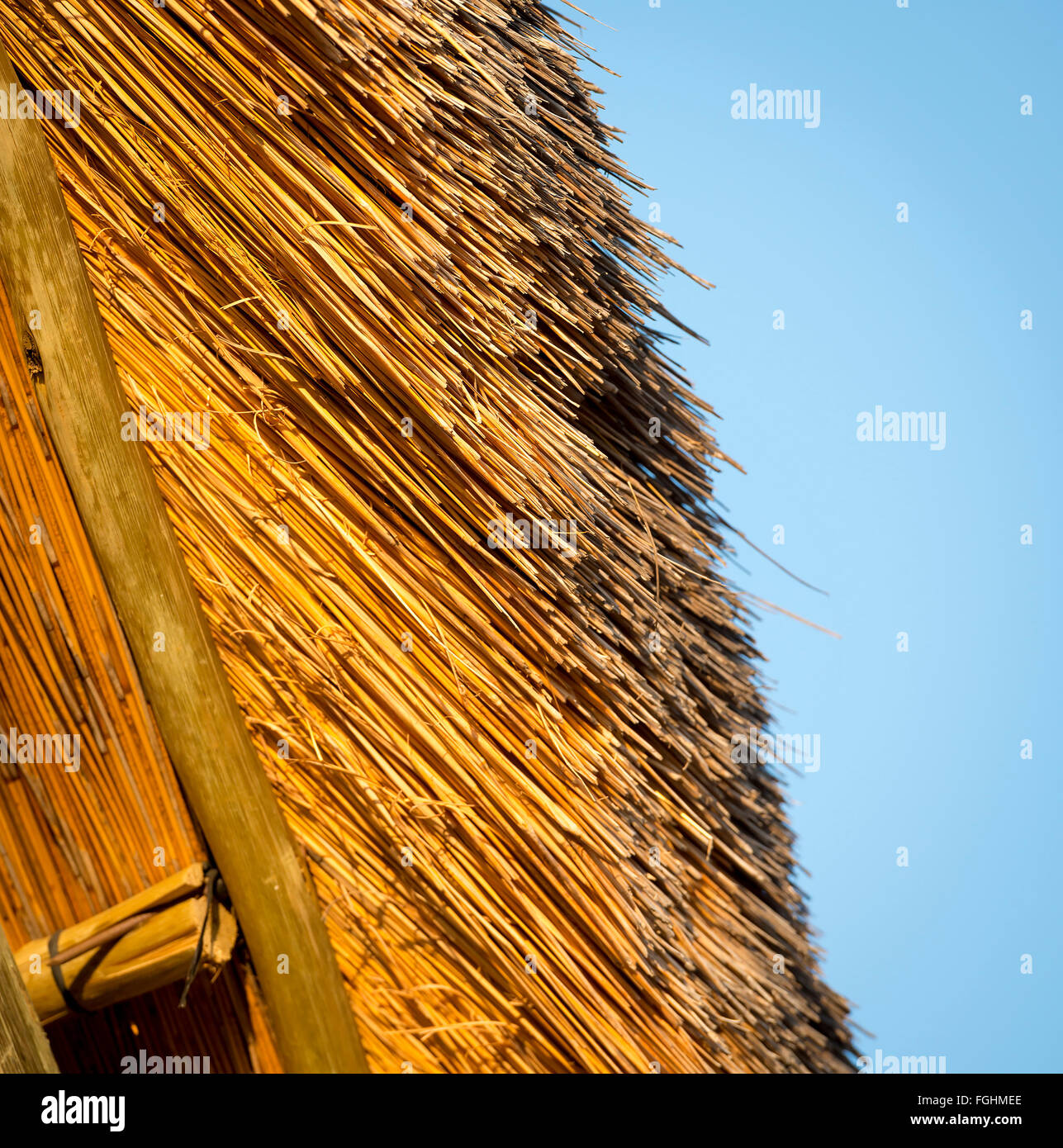 Grass thatch roof hi-res stock photography and images - Alamy