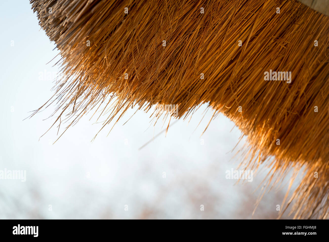 Grass thatch roof hi-res stock photography and images - Alamy