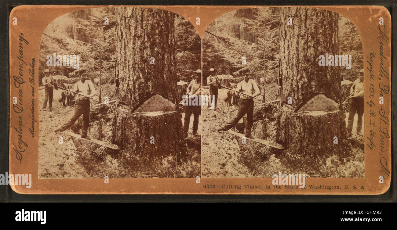 A photograph by Benjamin Lloyd Singley showing workers cutting timber ...