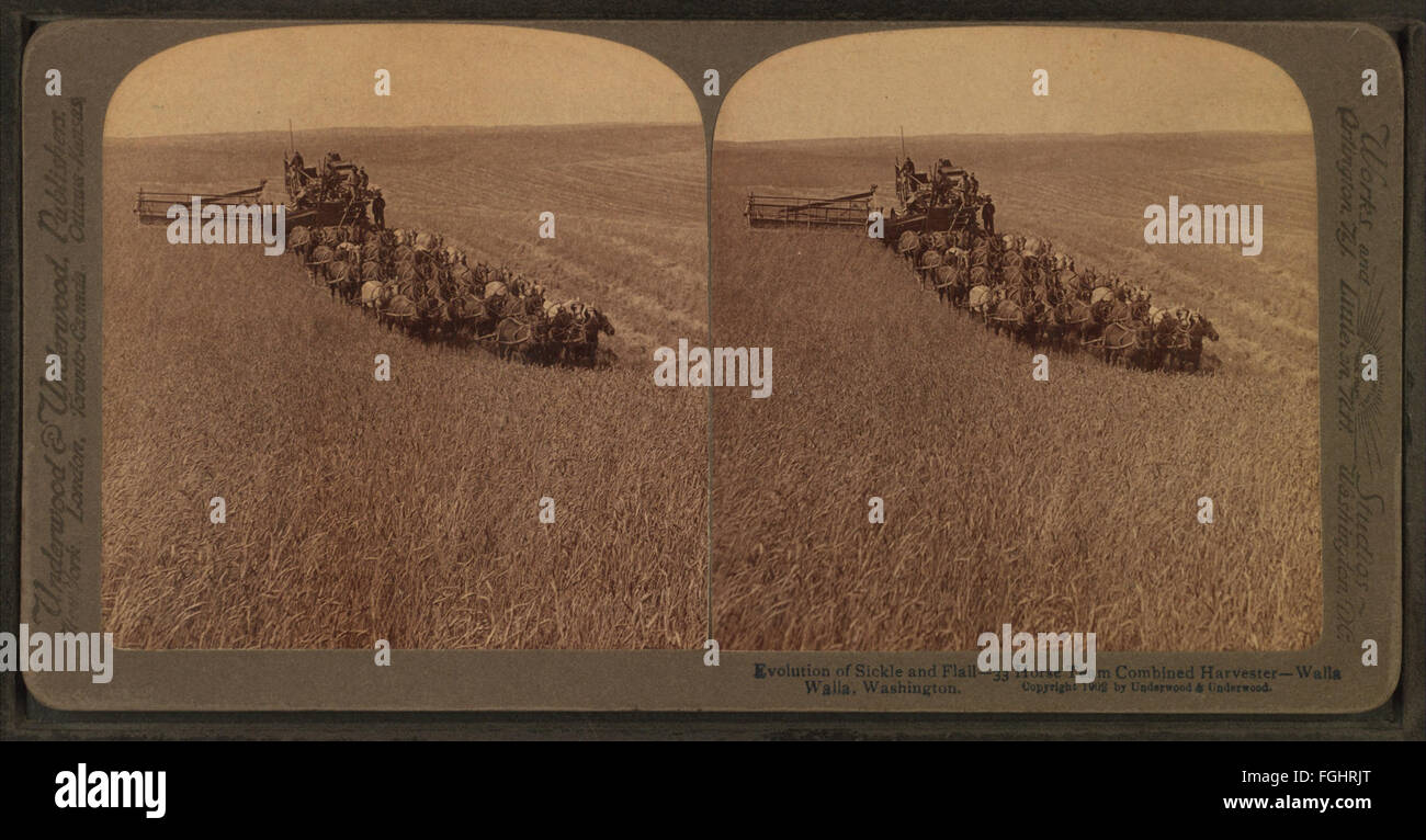 This photograph illustrates the evolution of agricultural equipment, featuring a 33-horse team ...