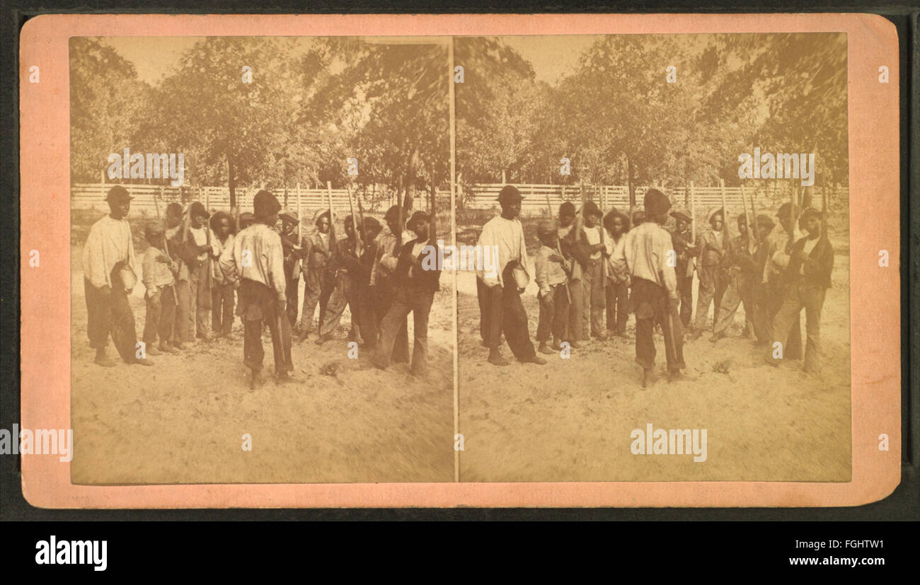 A photograph titled 'Flip-flap militia' by J. A. Palmer, capturing a ...