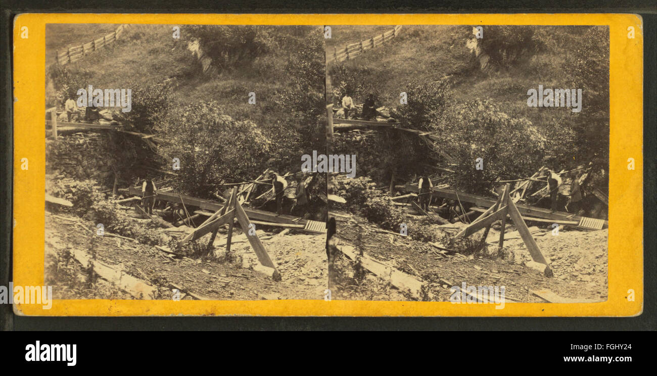 A photograph by F.B. Gage showing gold digging at Smith’s claim in Gold ...