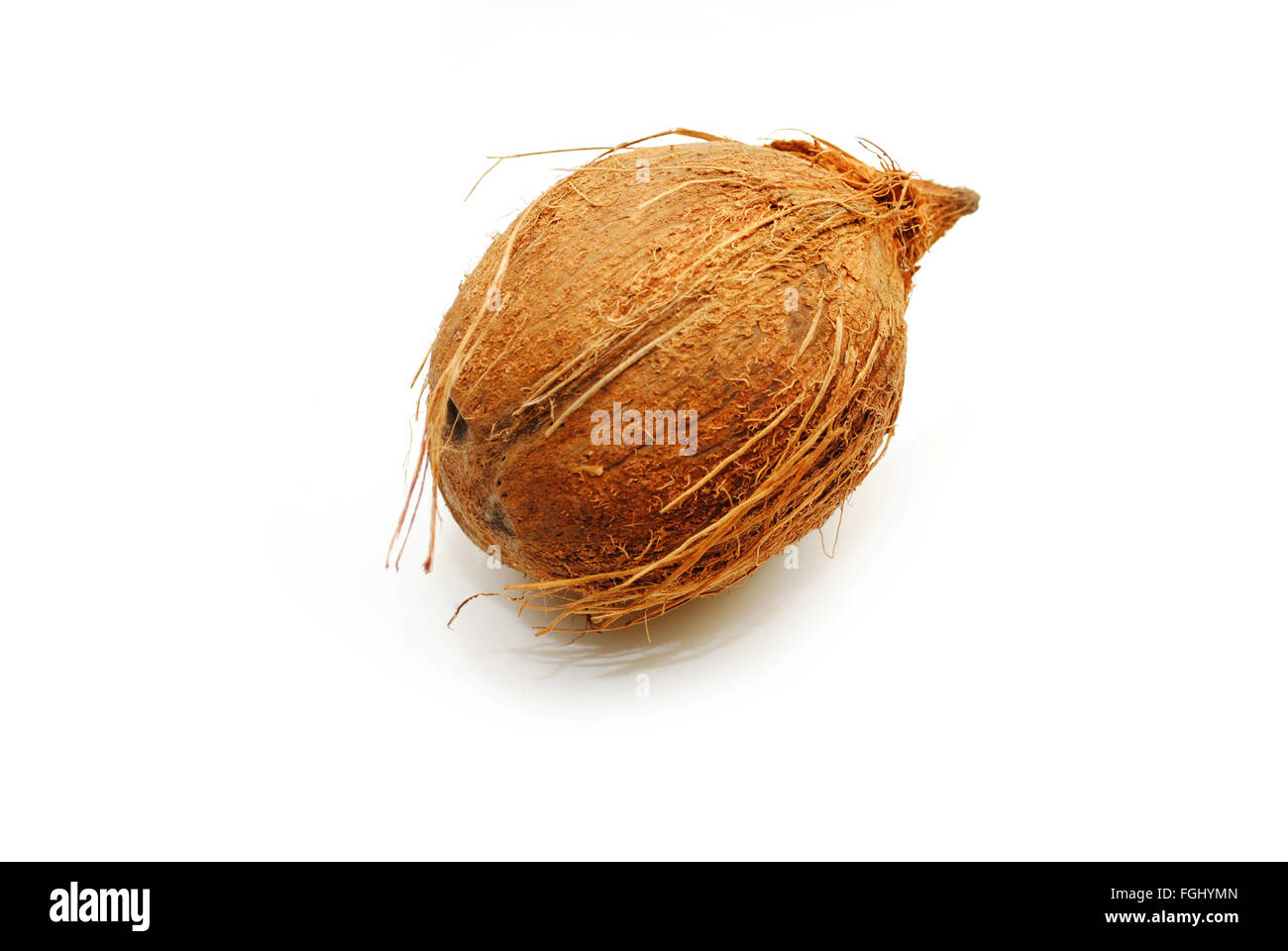 One coconut hi-res stock photography and images - Alamy