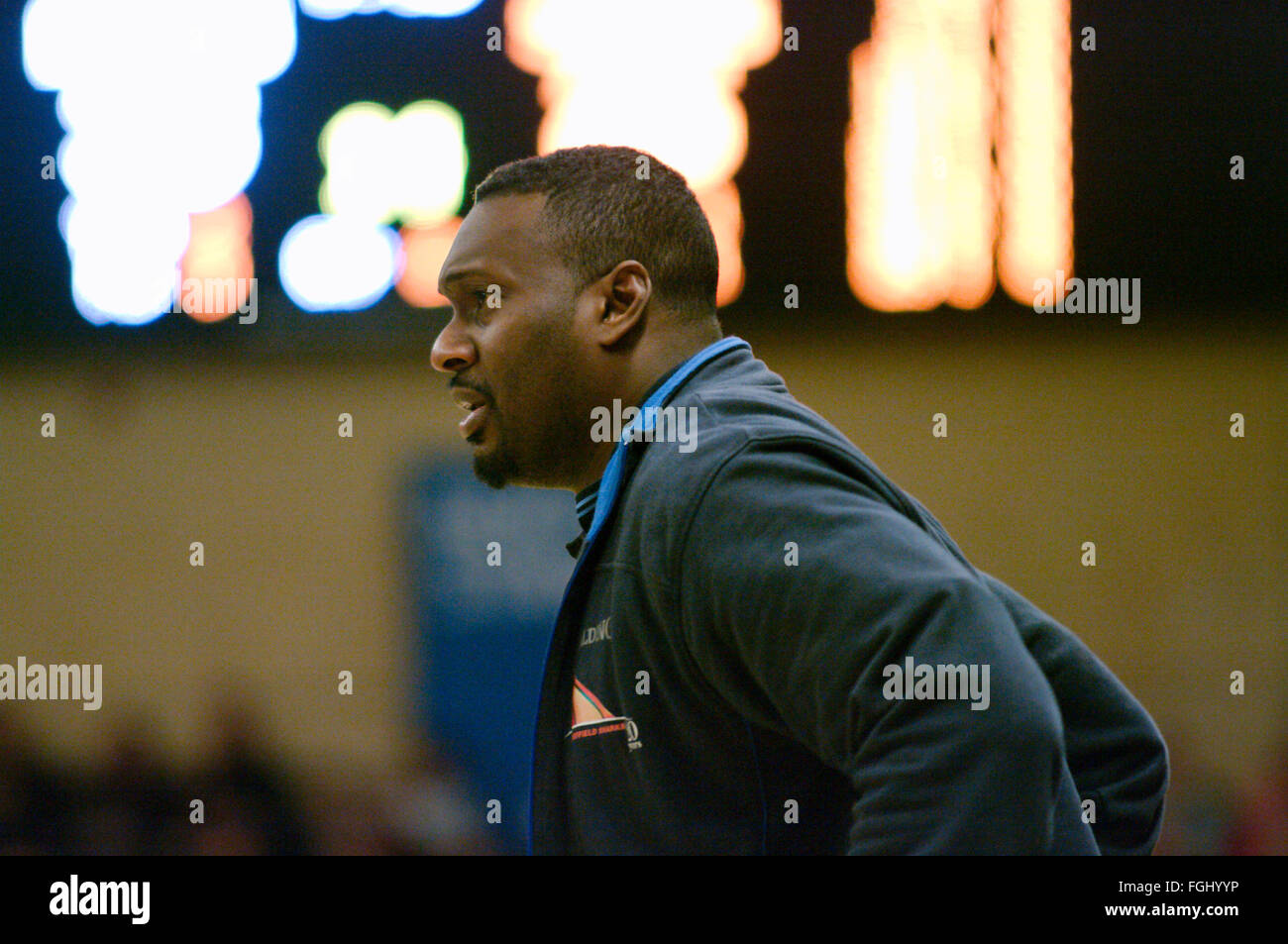 Sheffield sharks hi-res stock photography and images - Alamy