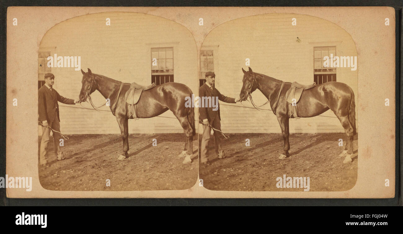 This image shows the Gypsy Maid, a ship owned by J.A. Williams ...