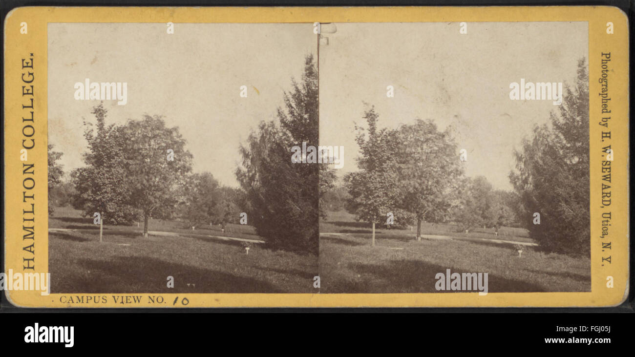 A photograph of Hamilton College campus, captured by H. W. Seward ...