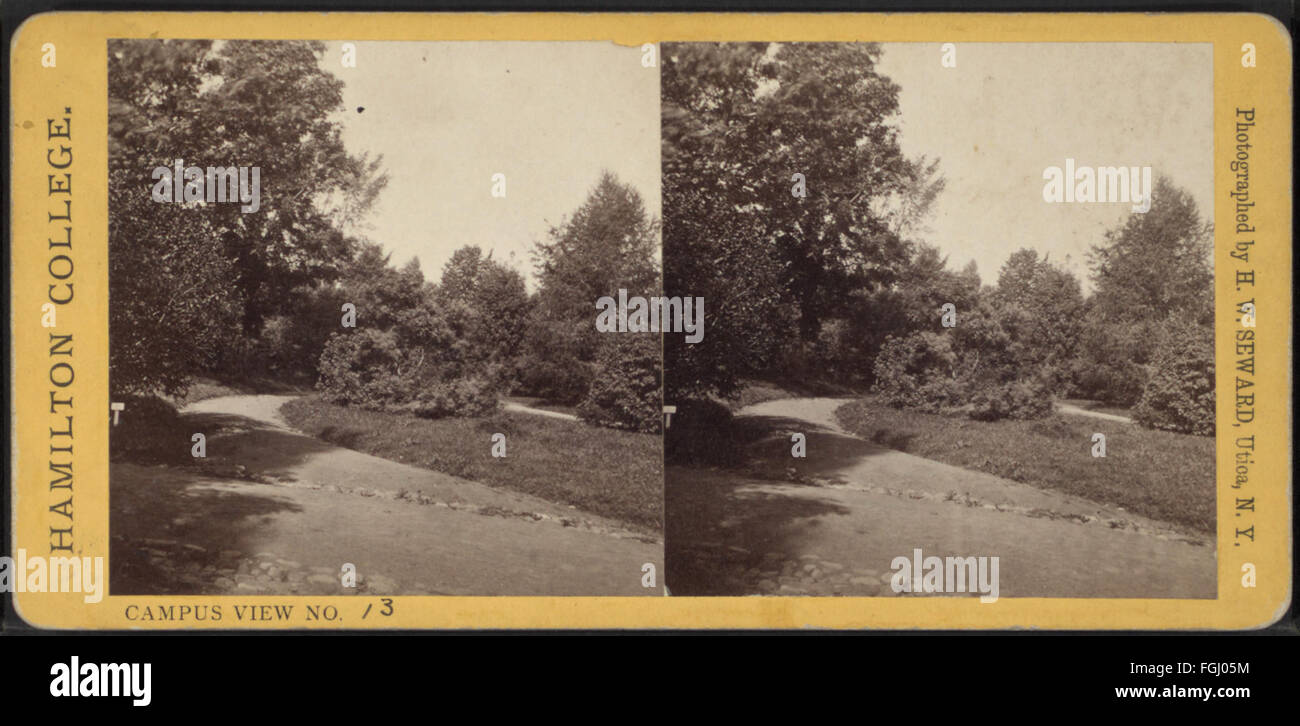 A photograph of the Hamilton College campus, labeled view no. 13, taken ...