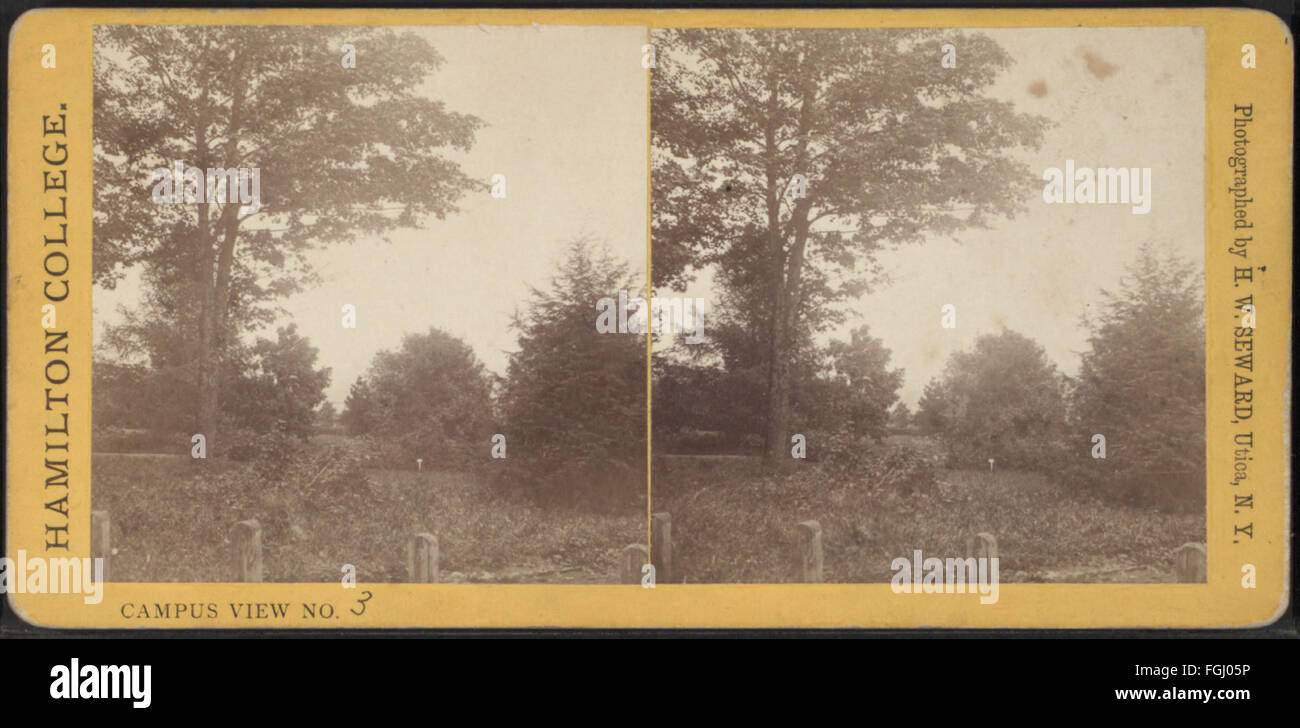 This photograph by H.W. Seward shows a view of the Hamilton College ...