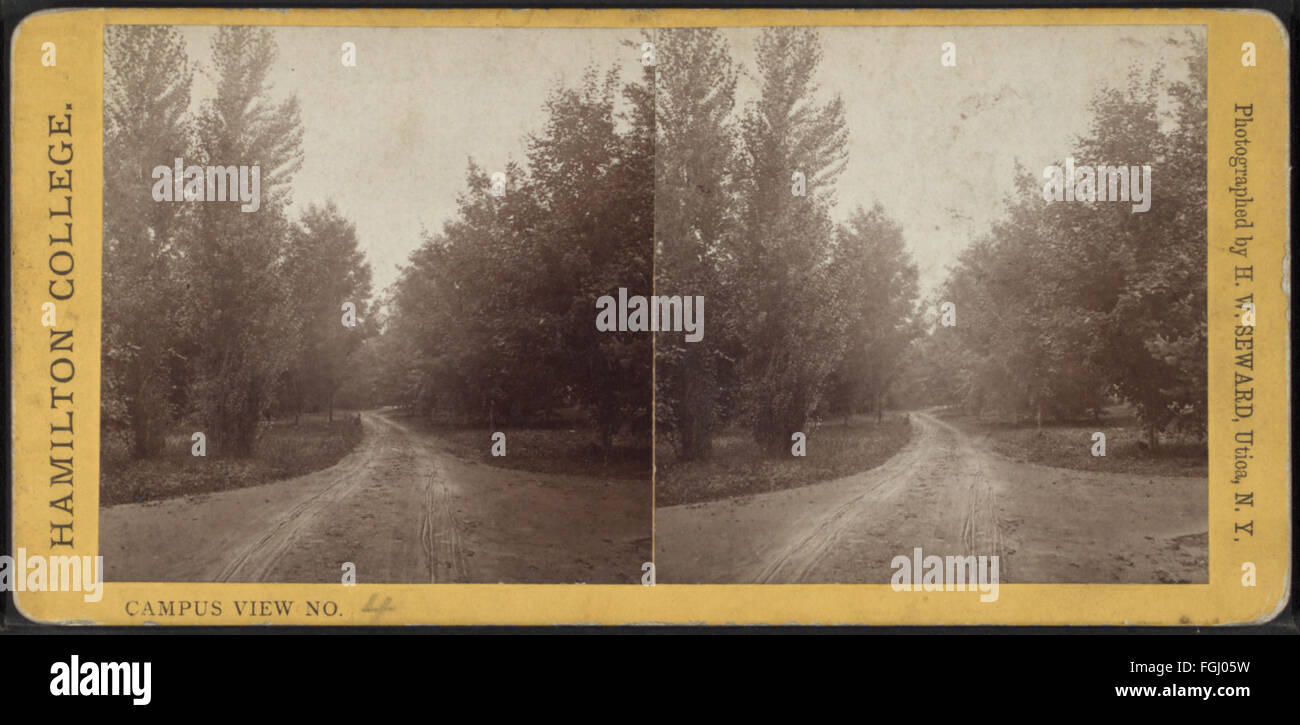 A photograph by H. W. Seward showing a view of Hamilton College campus ...