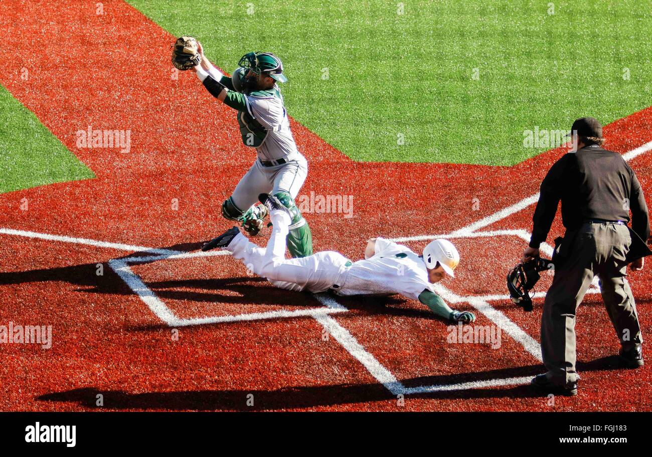 William mary baseball hi-res stock photography and images - Alamy
