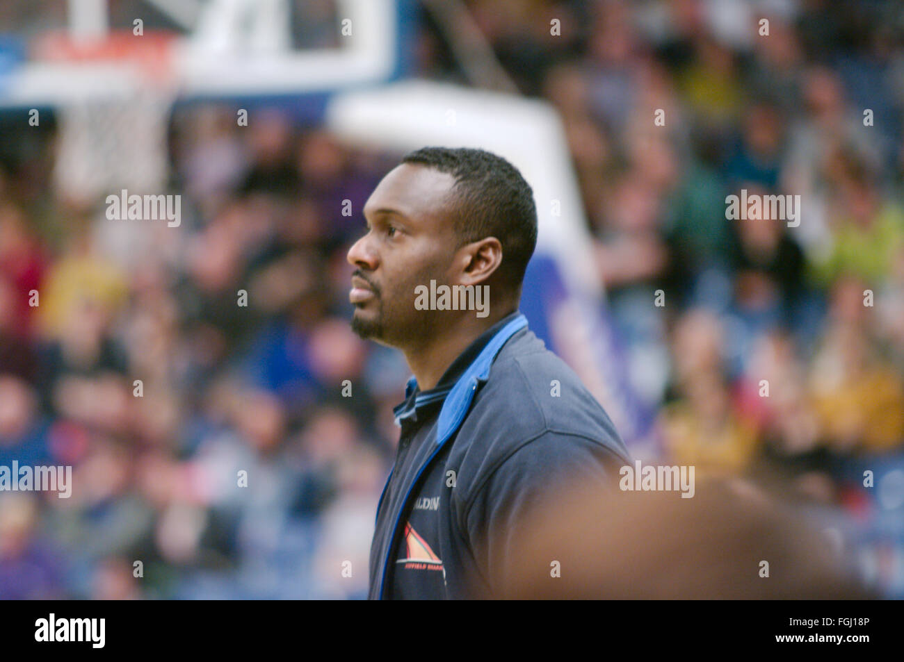 Sheffield sharks hi-res stock photography and images - Alamy