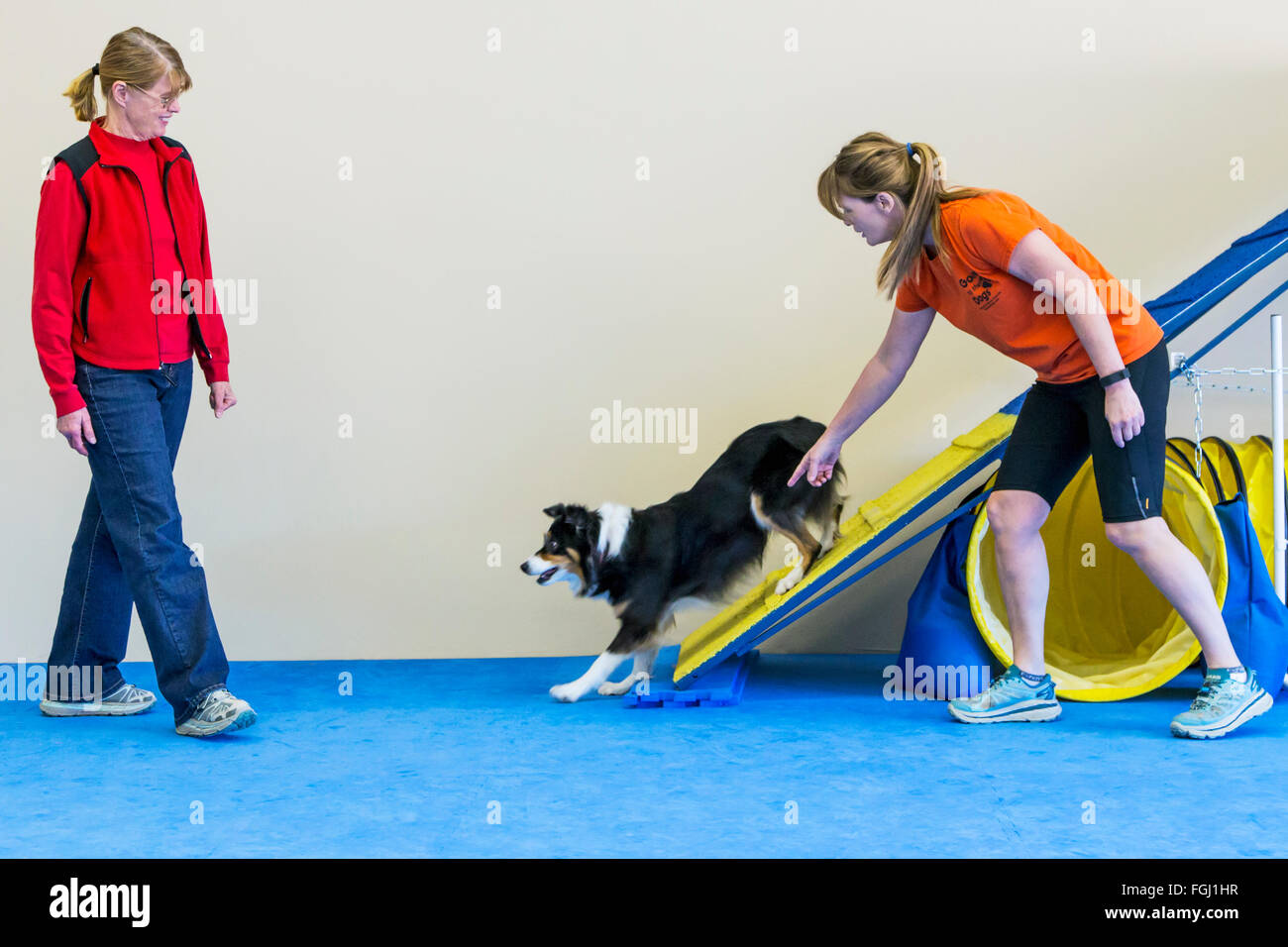 Animal love inclined hi-res stock photography and images - Alamy