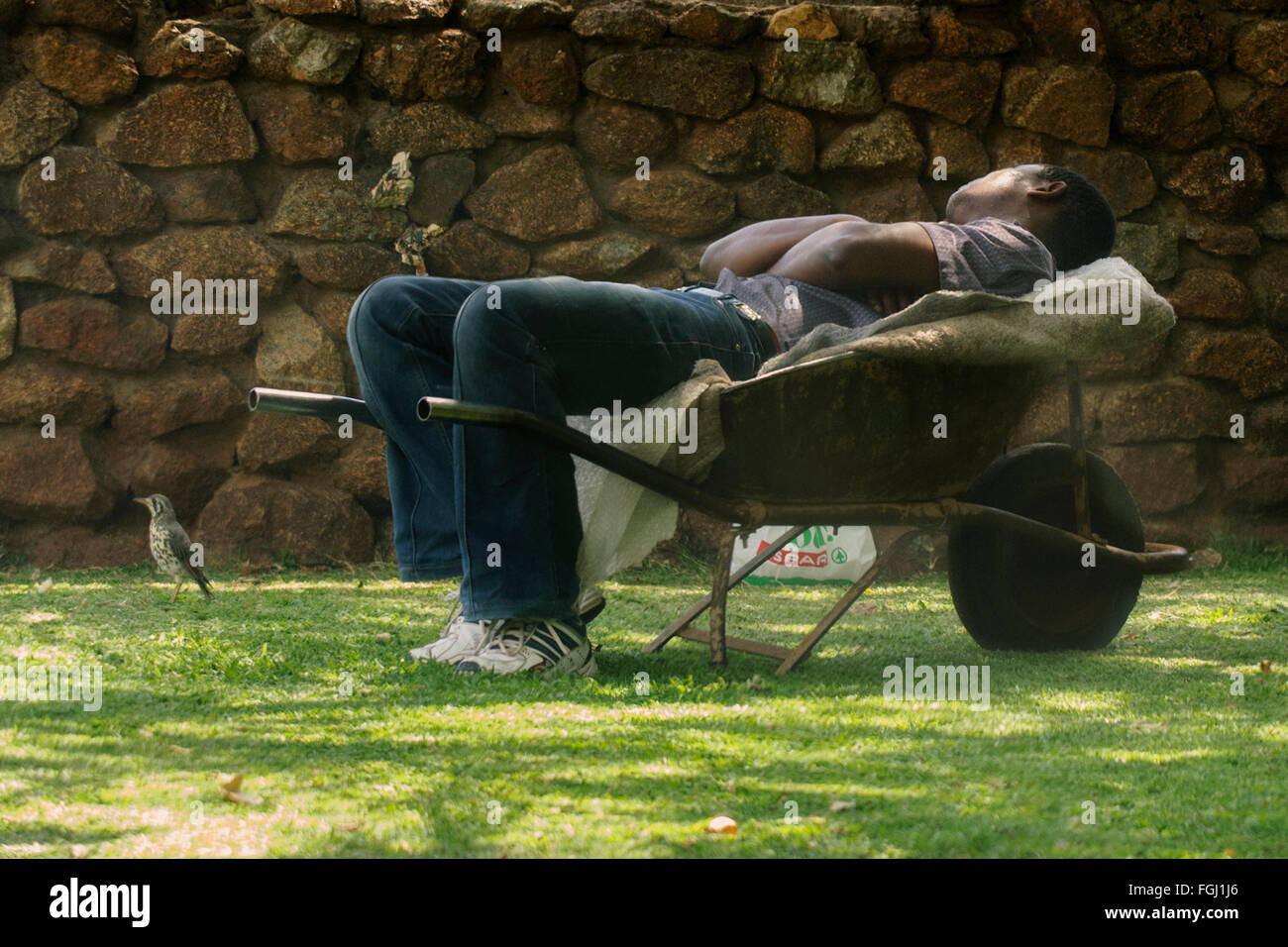 African relaxing in the sun Stock Photo - Alamy