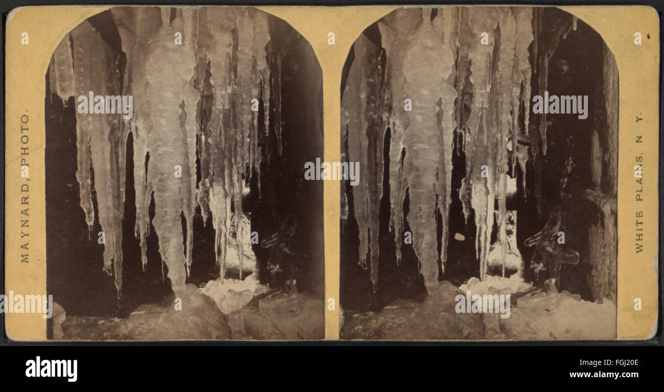 A photograph by Maynard depicting the intricate patterns and formations ...