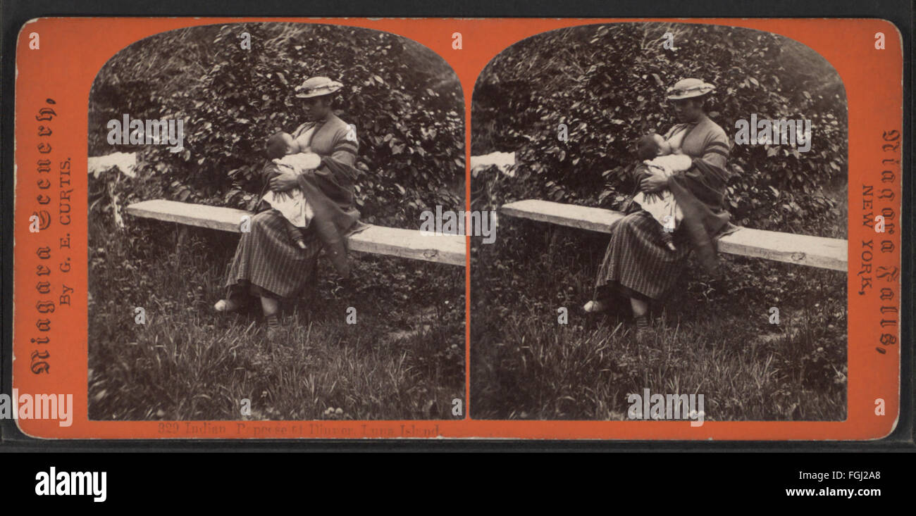 This photograph by George E. Curtis shows an Indian papoose (child) at ...