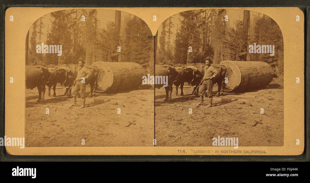 This image depicts logging operations in Northern California ...