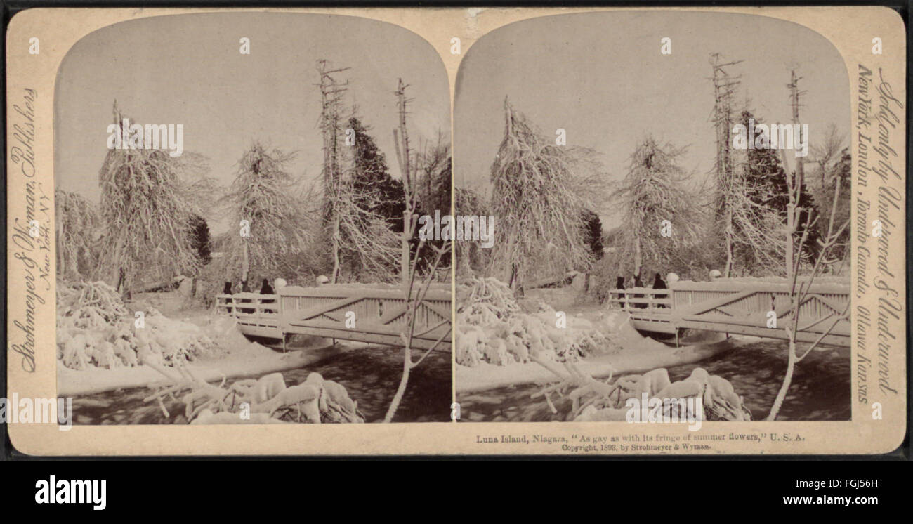 A photograph of Luna Island at Niagara Falls, taken by George Barker ...