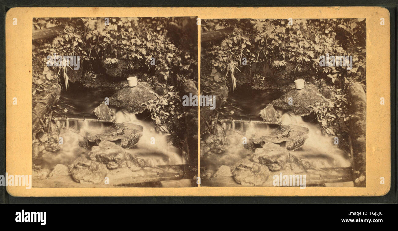 A photograph showing Mammoth Spring in Stowe, Vermont, capturing the ...