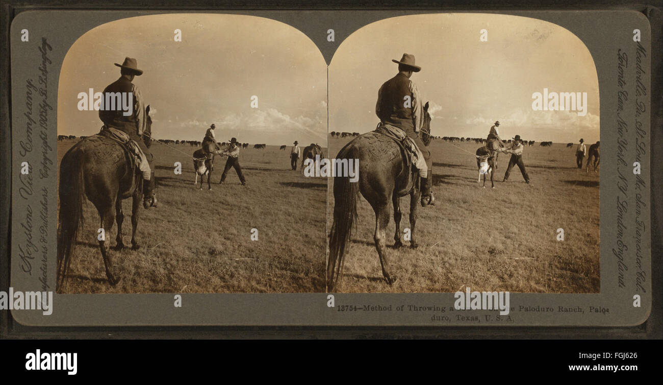 Benjamin Lloyd Singley's photograph shows a cowboy performing the ...