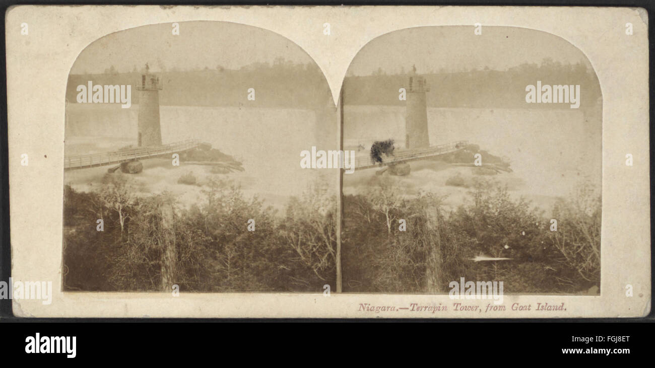 A photograph by Langenheim, Loyd & Co. showing Terrapin Tower at ...
