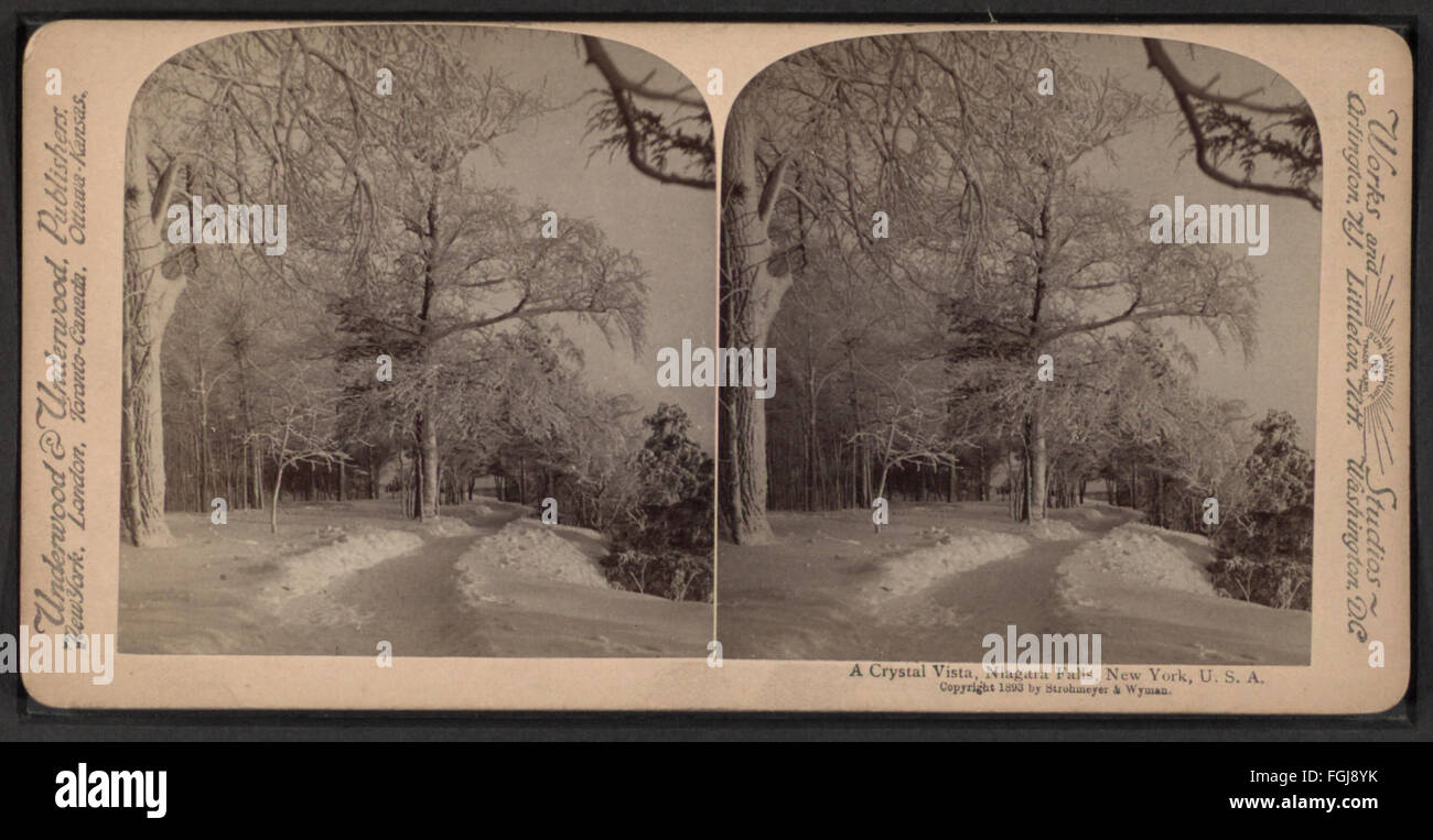 A photograph capturing a crystal-clear vista of Niagara Falls, taken by ...