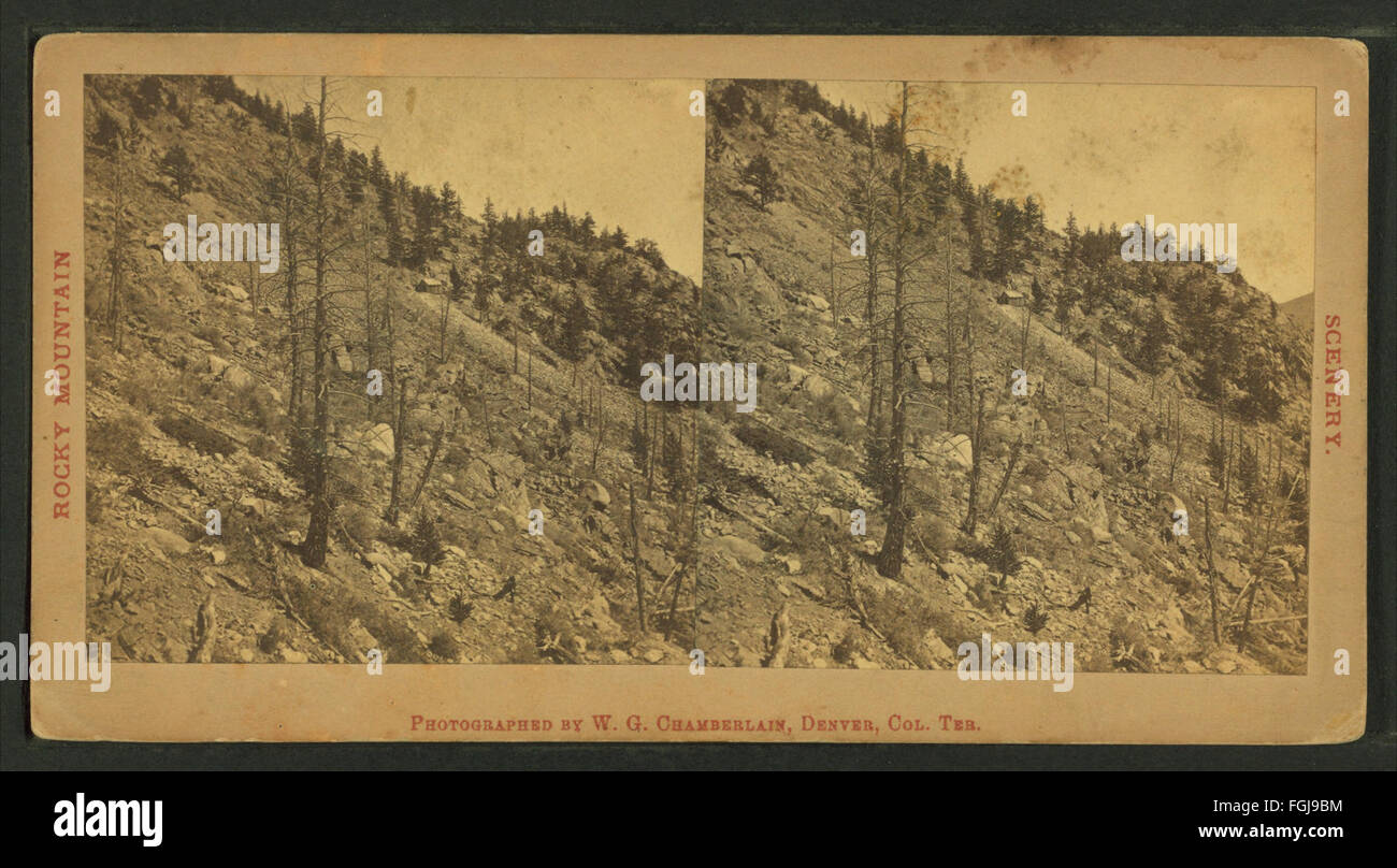 A photograph showing the Nixson Lode on Brown Mountain, Georgetown ...