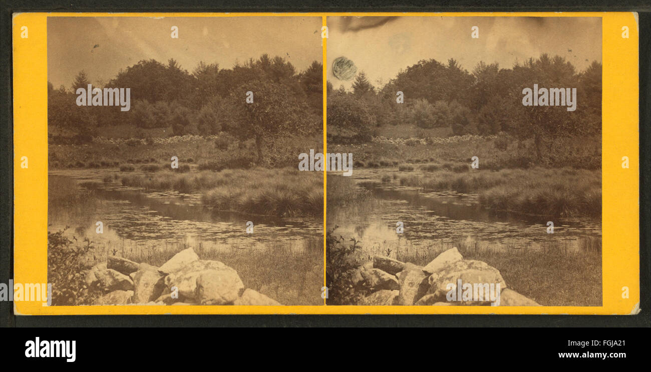 This stereoscopic photograph from the Robert N. Dennis collection ...