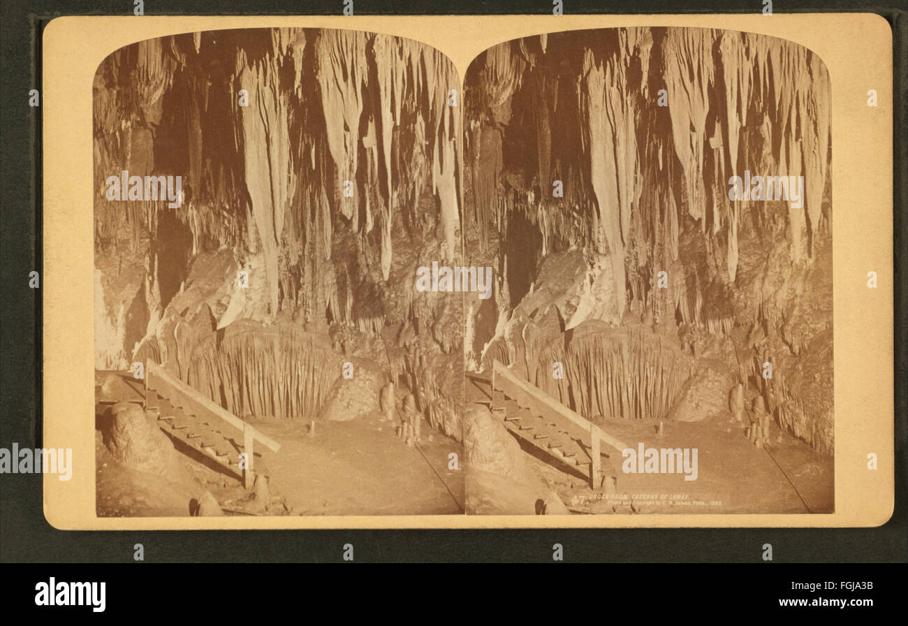 This photograph by C. H. James shows the Organ Room inside the Caverns ...