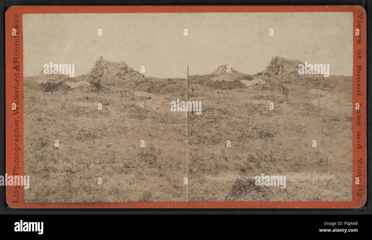 Palestine Park. View from Bethlehem, looking north, by Lloyd (fl. 187 ...