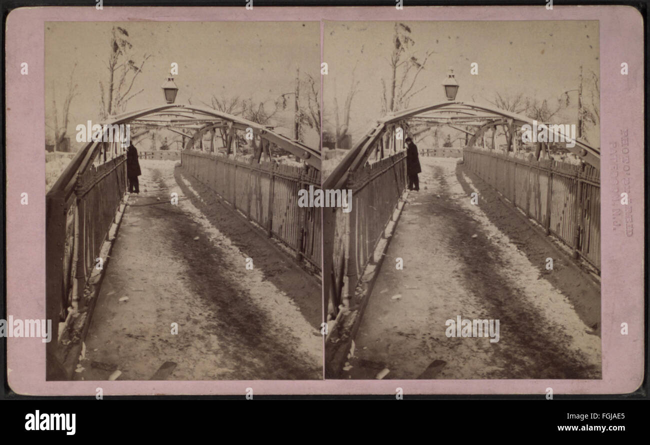 A photograph of Passaic Falls in Paterson, New Jersey, showcasing the ...