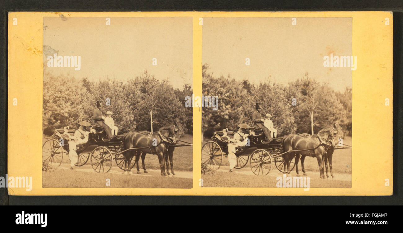 American Coachman High Resolution Stock Photography and Images - Alamy