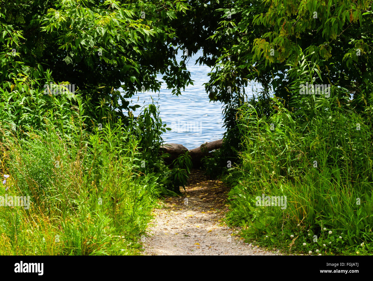 Dirt path leading into small hole in green shrubs leading to water ...
