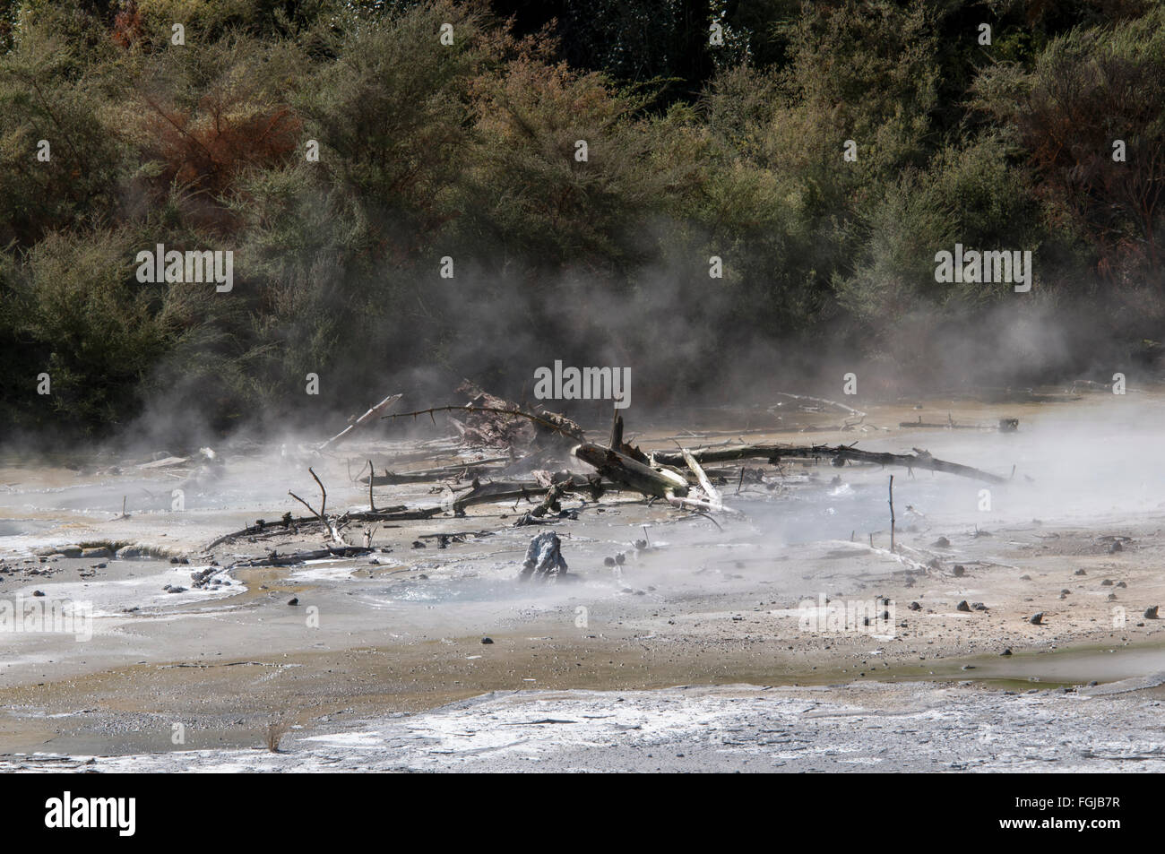 Artist's palette in Orakei Korako is a 10000 square meter sinter ...
