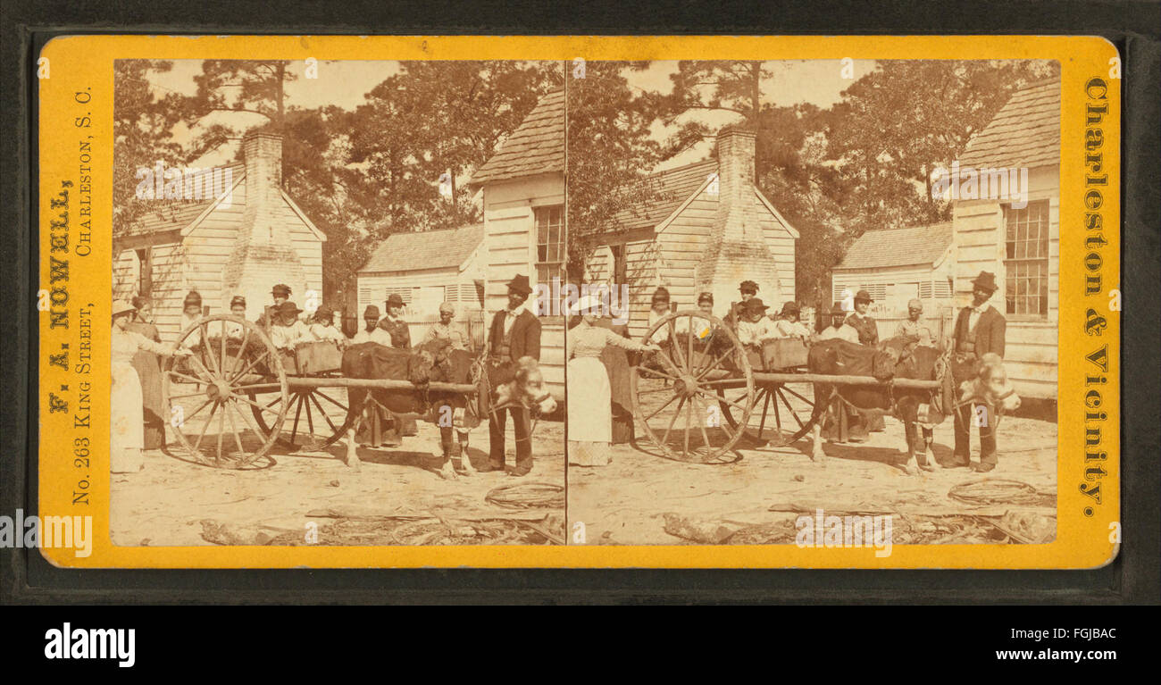 A photograph depicting a primitive market team, captured by F. A ...