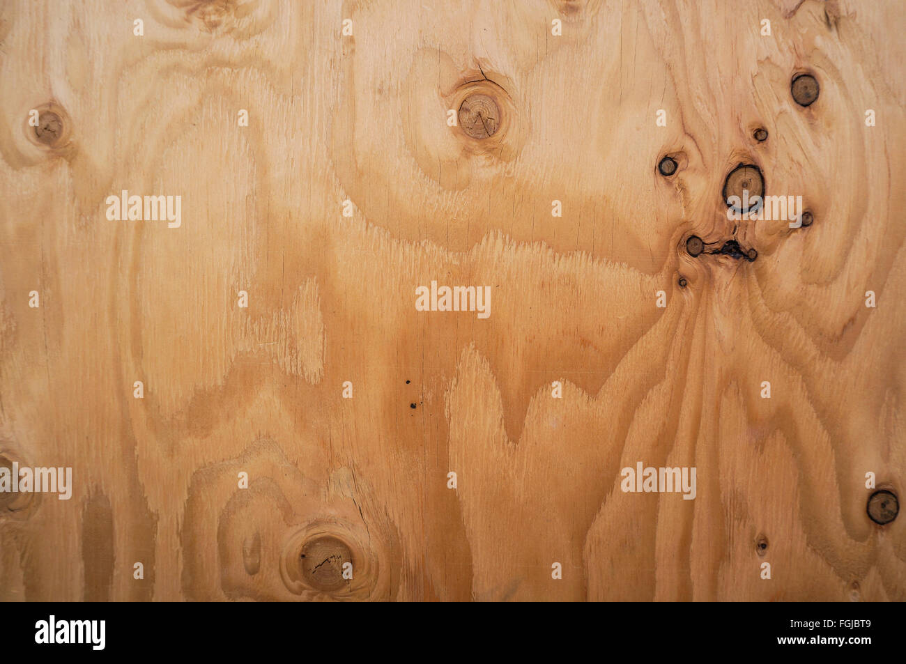Light wood texture Stock Photo - Alamy