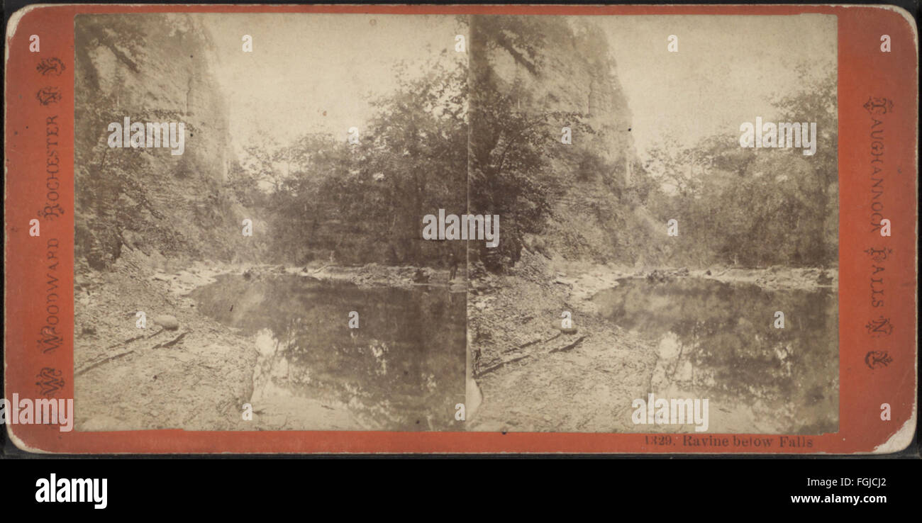 A photograph by Charles Warren Woodward showing a ravine below a ...