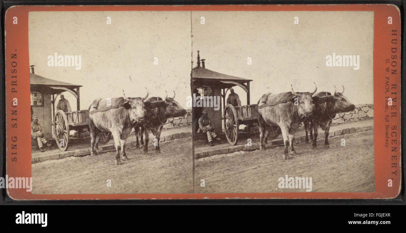 A stereoscopic photograph showing a prison cart at Sing Sing Prison ...
