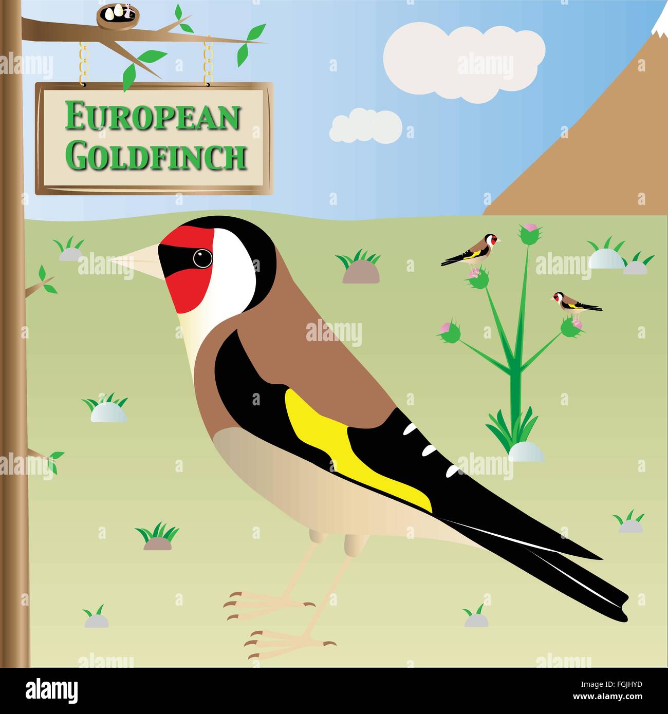 Goldfinch thistle Stock Vector Images - Alamy