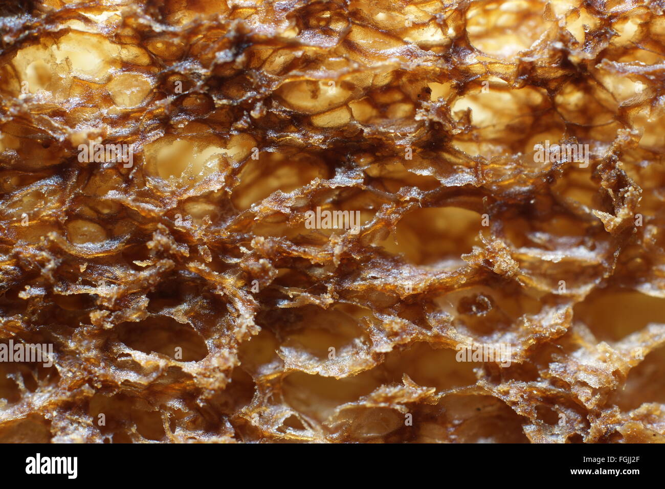 Toasted bread close up Stock Photo - Alamy