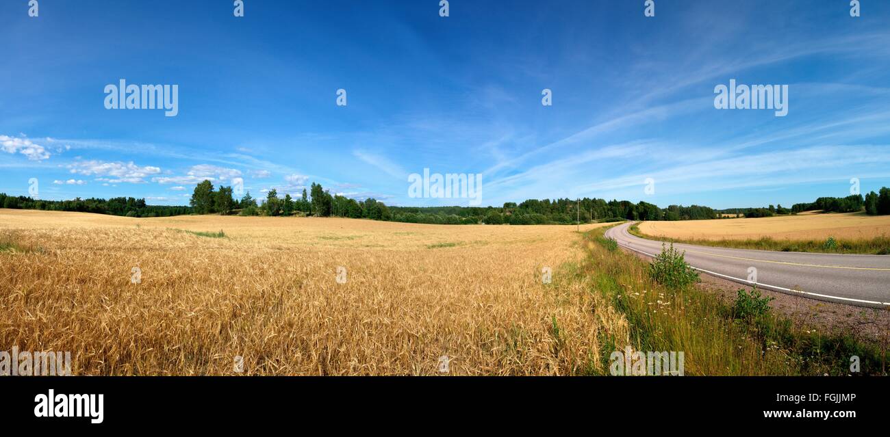 The field in the Finnish countryside Stock Photo - Alamy