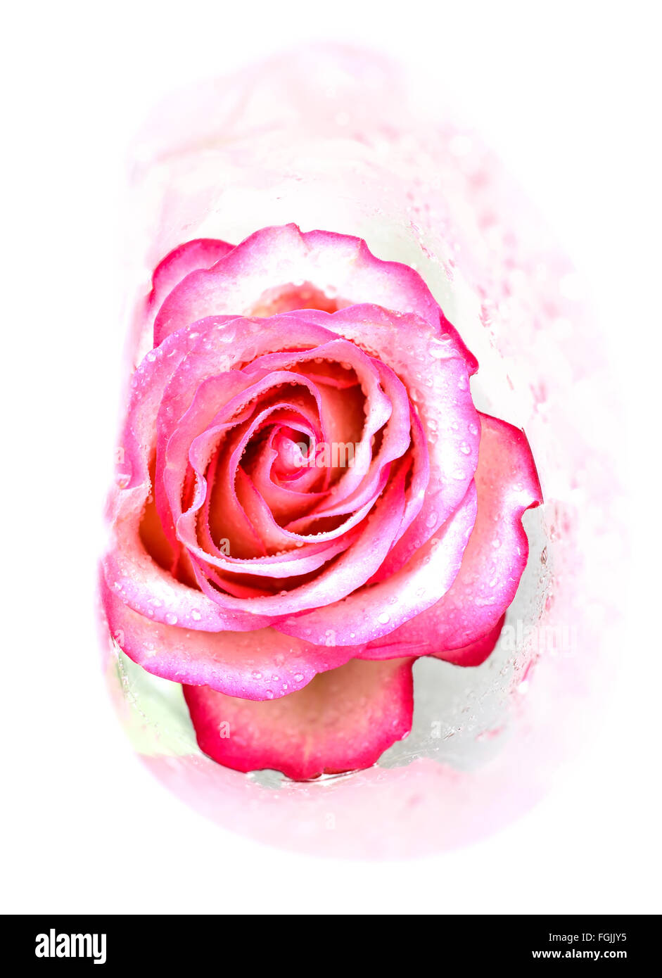 Flowers wrapped in cellophane hi-res stock photography and images - Alamy