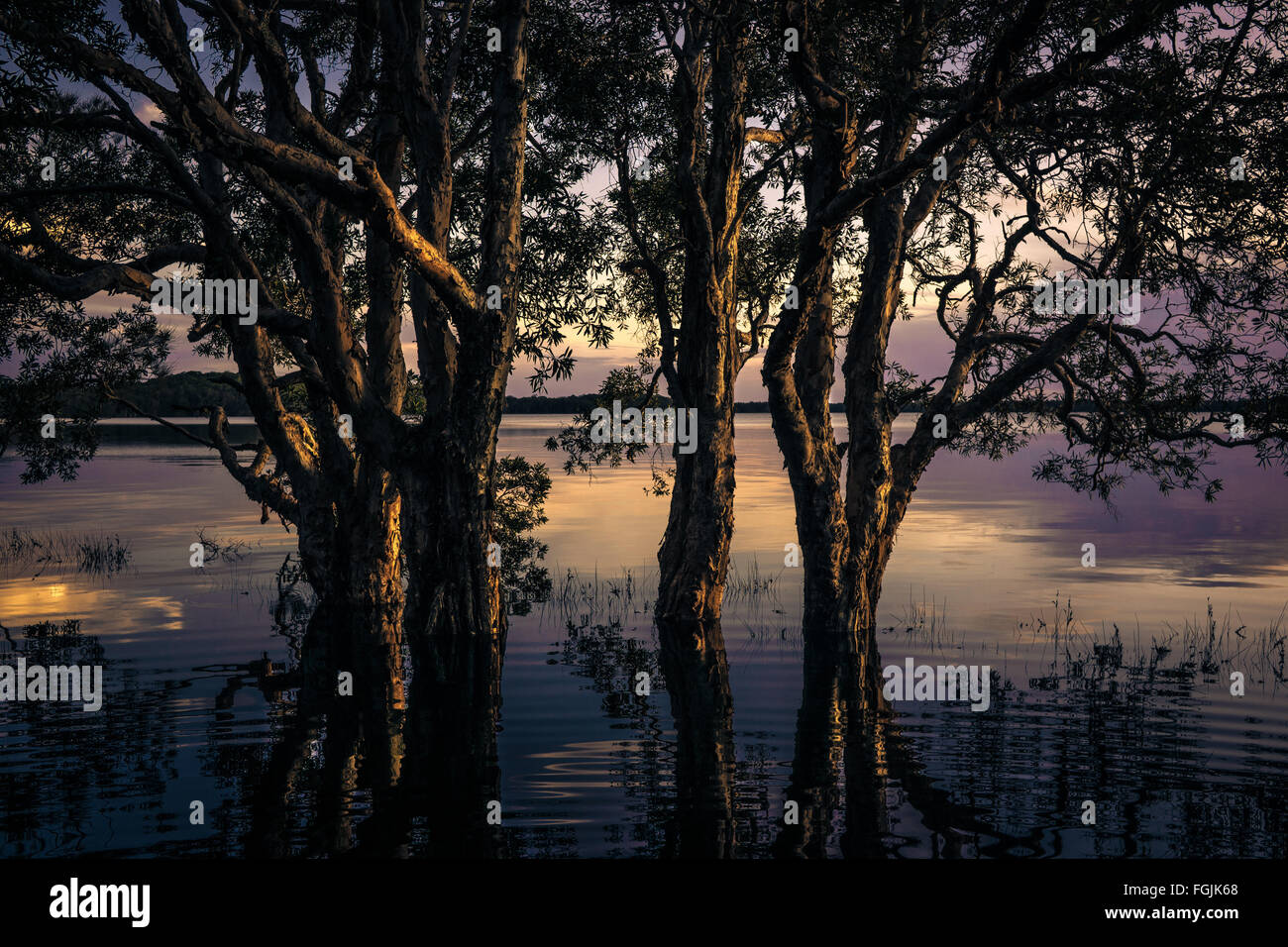 Two mile lake hi-res stock photography and images - Alamy